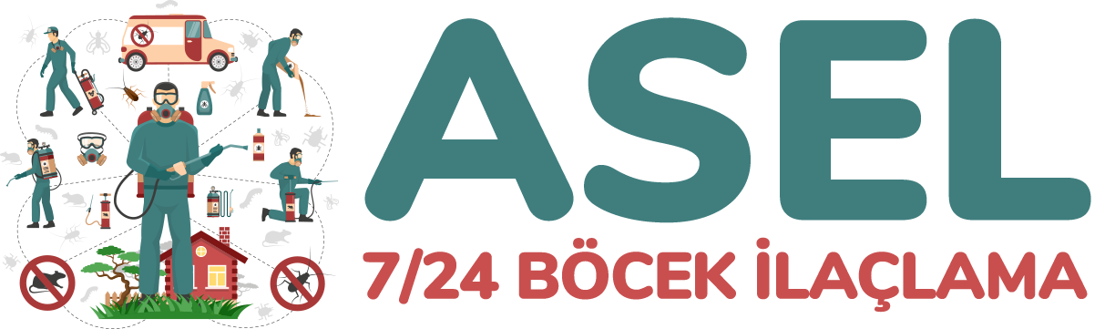 Asel Böcek İlaçlama - İstanbul Tüm Semtler 7/24 Servis